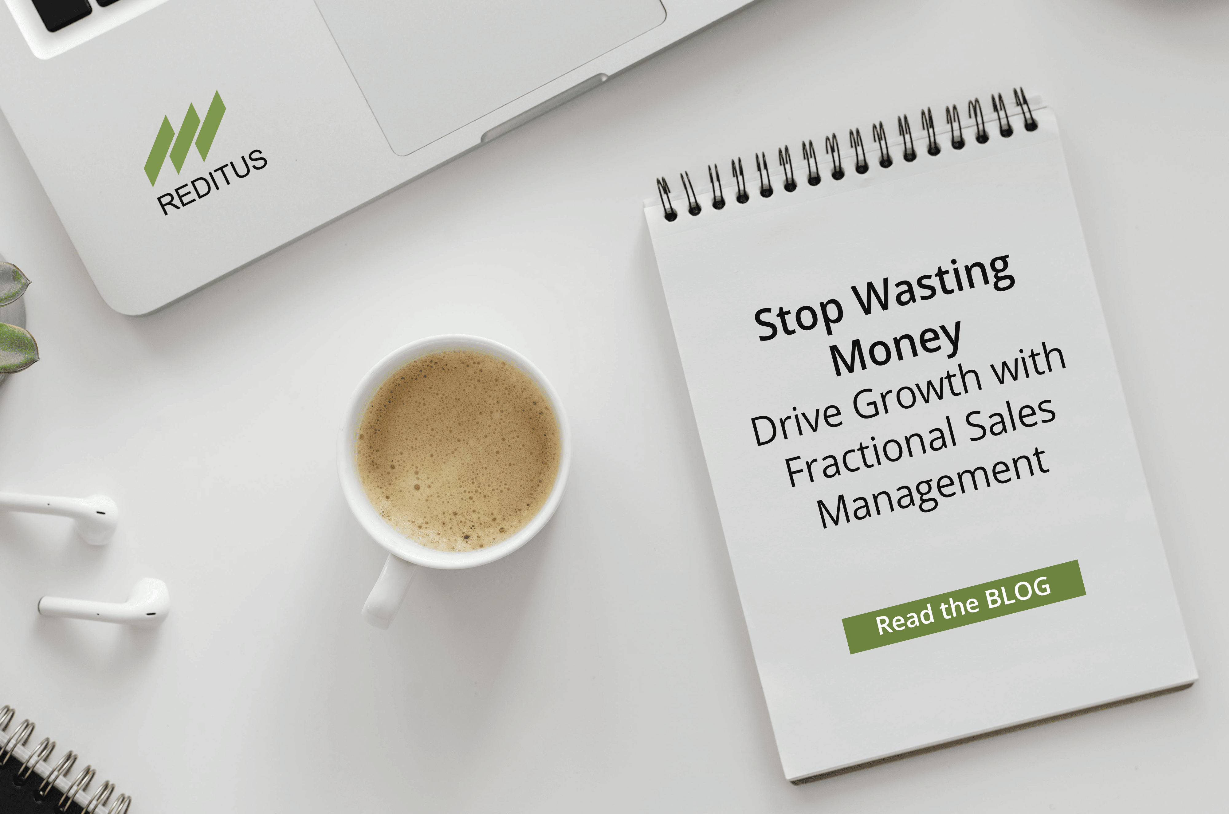 Drive Growth with Fractional Sales Management | Reditus