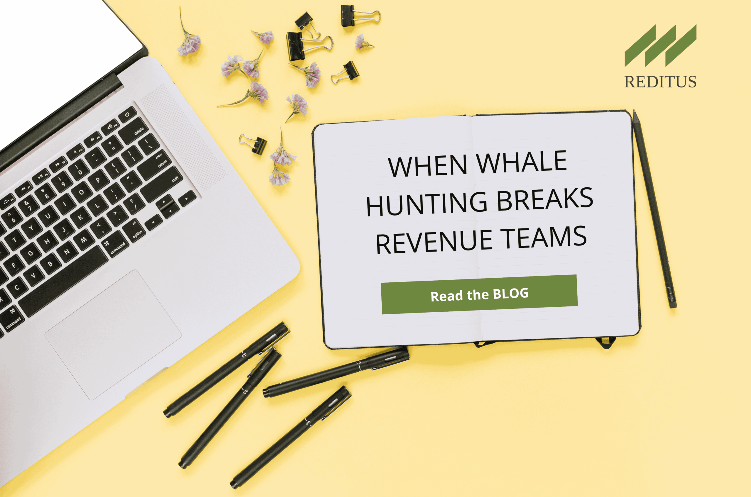When Whale Hunting Breaks Revenue Teams | Reditus